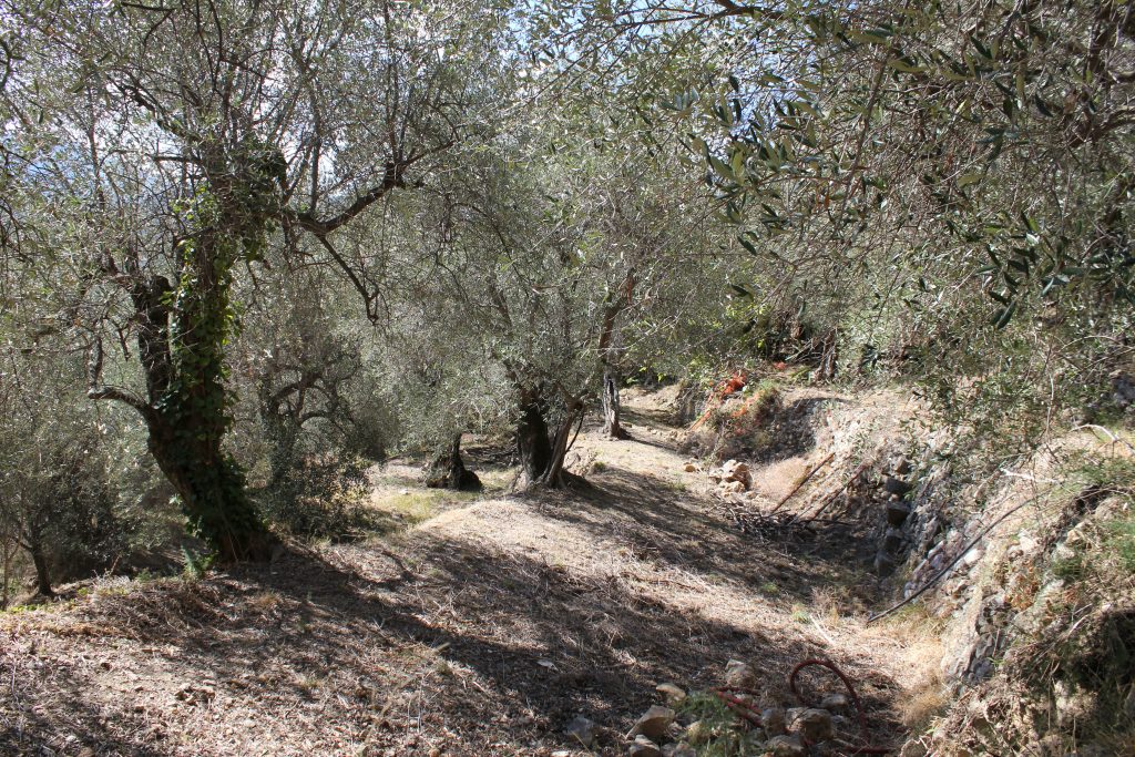 A la découverte de Bonson - Bonson